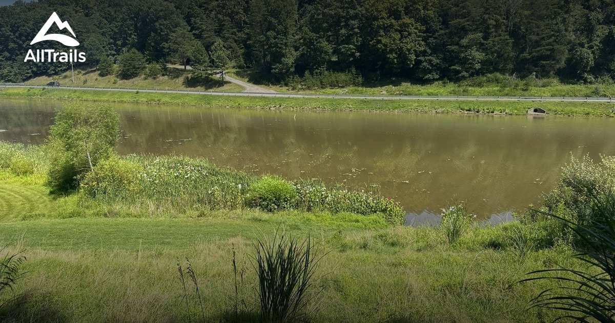 Mountwood Park Trail System | List | AllTrails