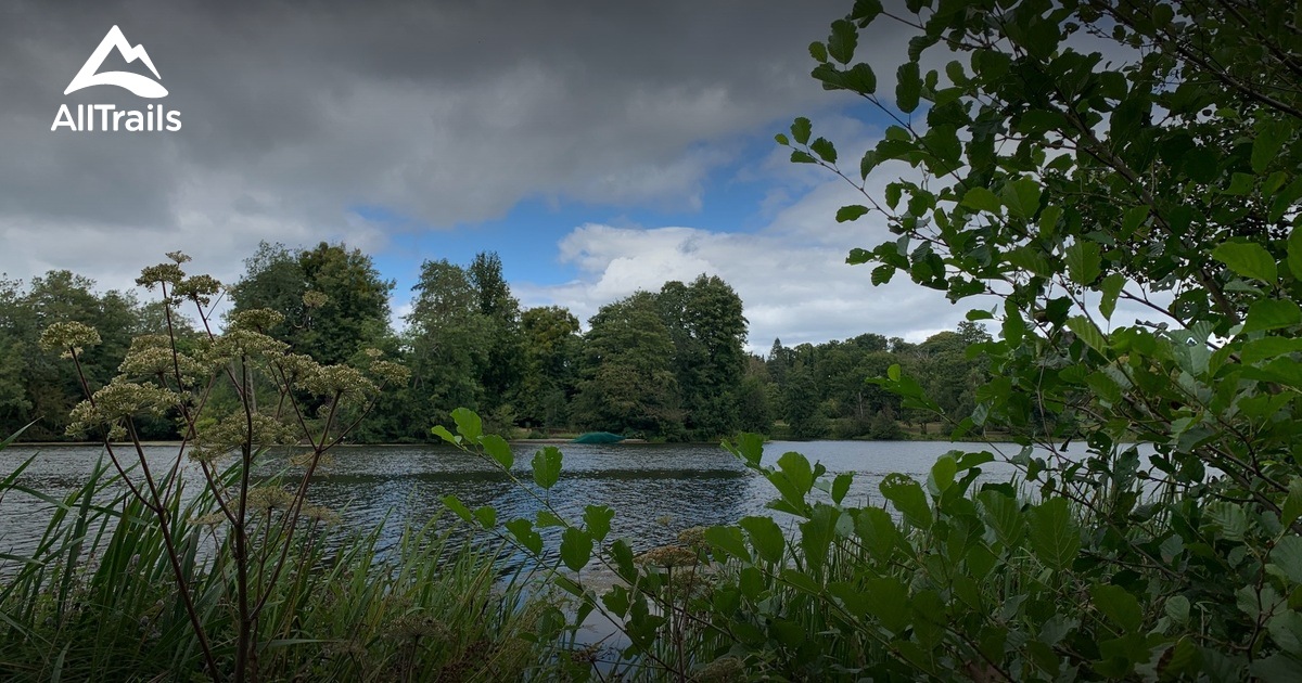 Surrey Rivers & Wetlands | List | AllTrails