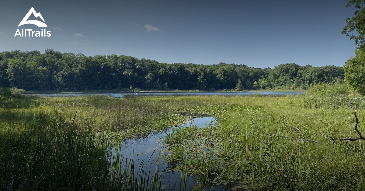 Pinckney Recreation Area | List | AllTrails