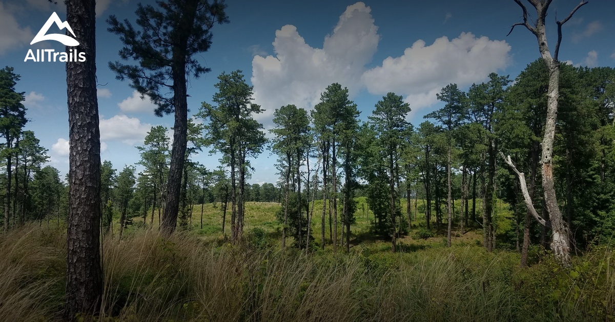 Pine Bush Trails | List | AllTrails