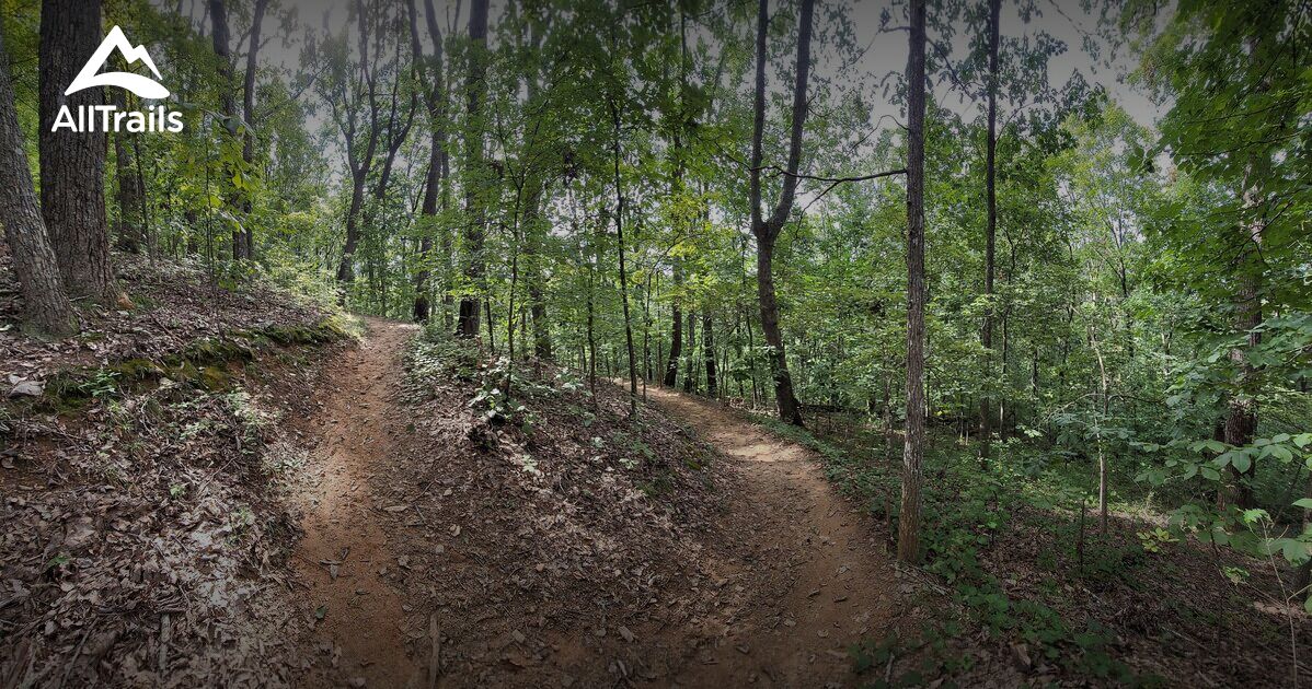 Golf Home Trails | List | AllTrails