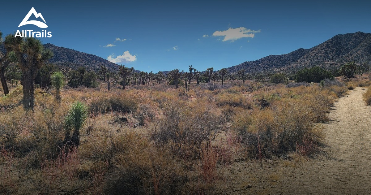 Black Rock Campground Trails | List | AllTrails