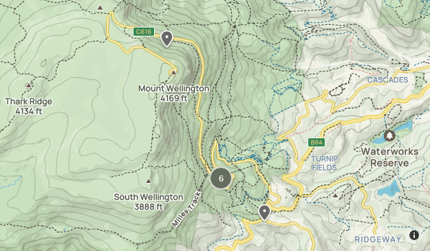 Mt Wellington | List | AllTrails