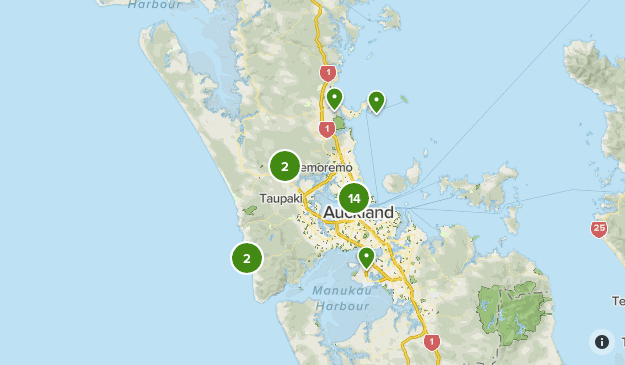Auckland easy walk | List | AllTrails