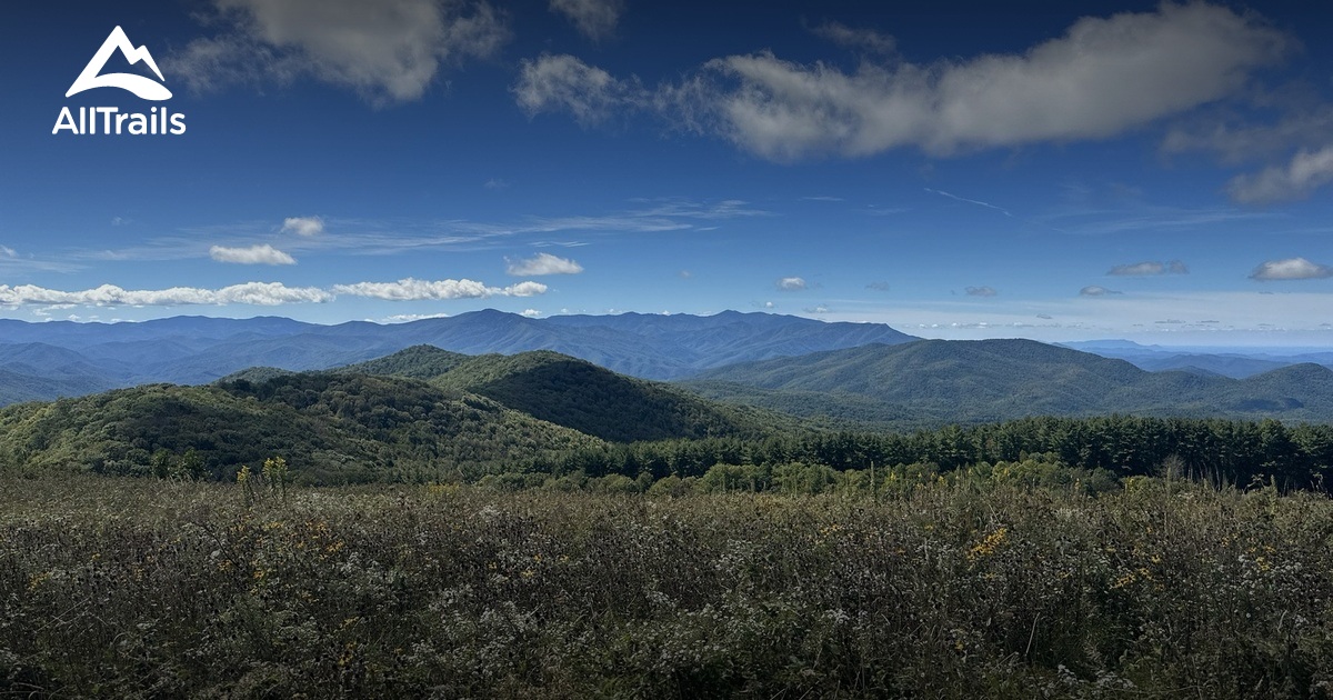 Easy, Simple Trails | List | AllTrails