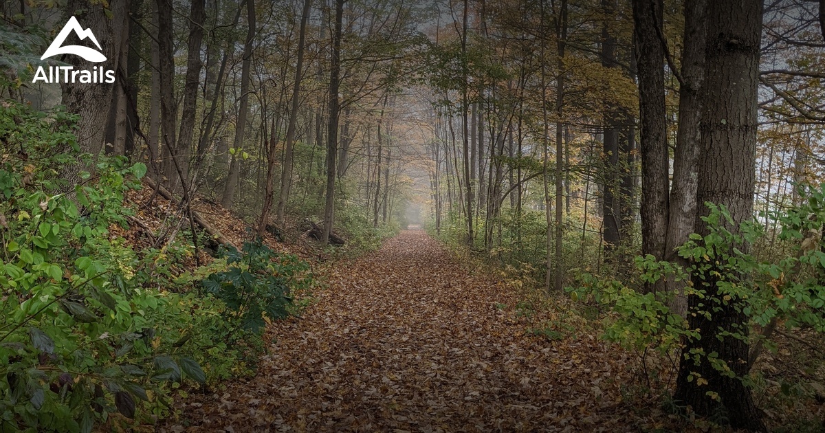 Yolanda trails | List | AllTrails