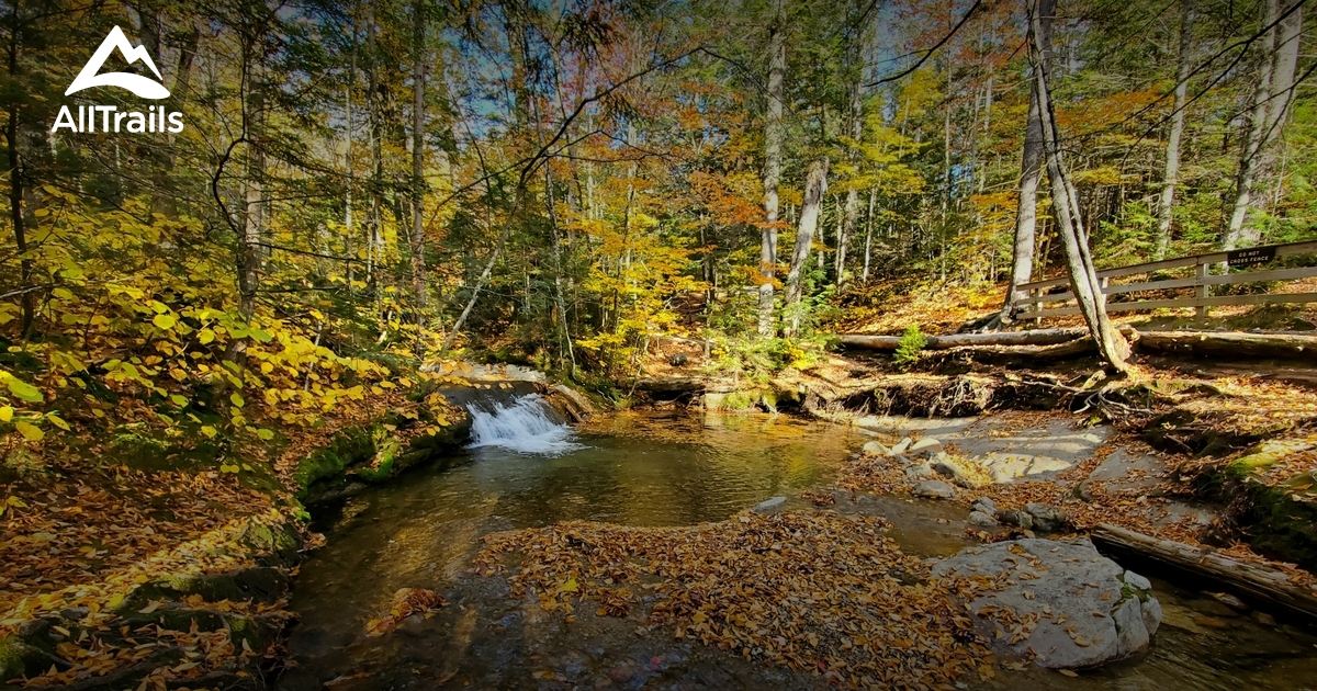 Basin cascades trail | List | AllTrails
