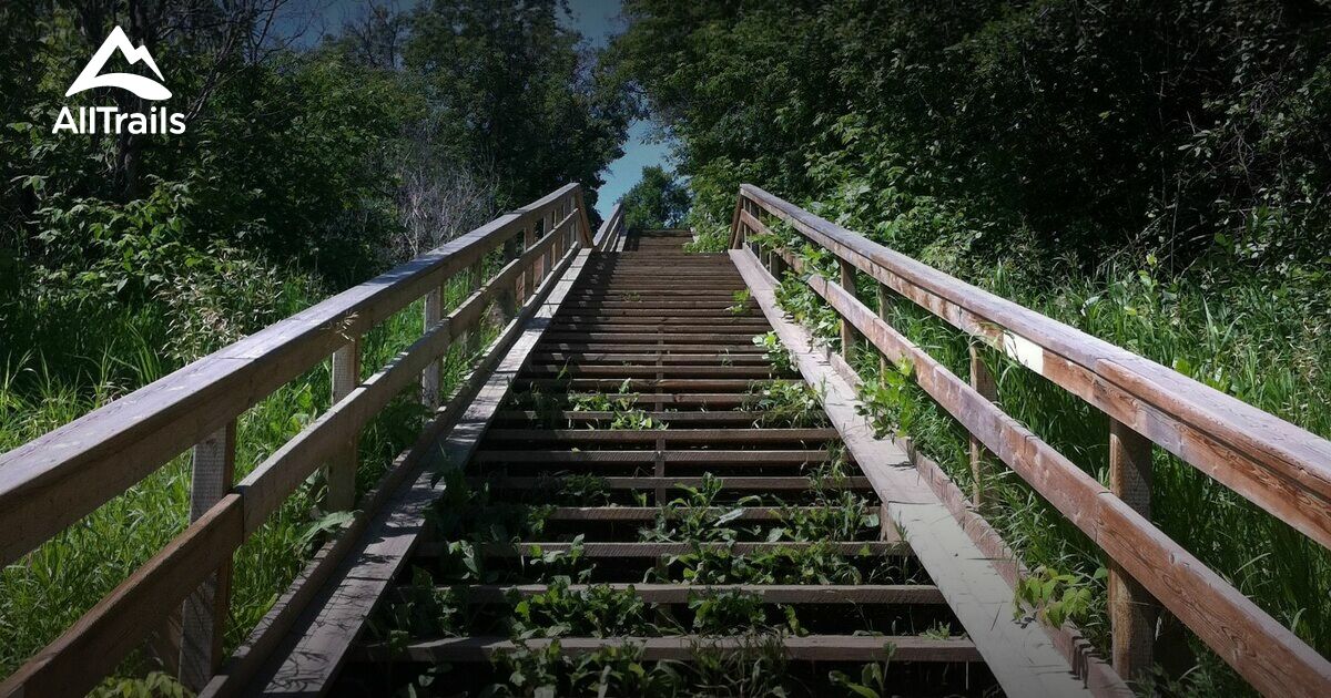 Edmonton (in the city) | List | AllTrails