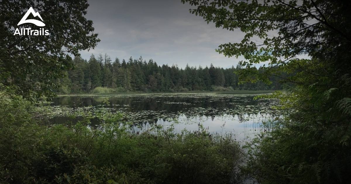 Bainbridge Island Hikes | List | AllTrails