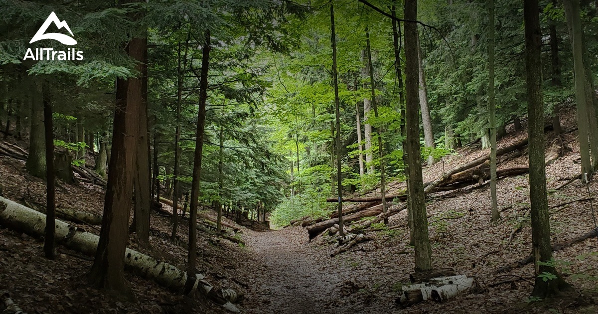 Maple City | List | AllTrails