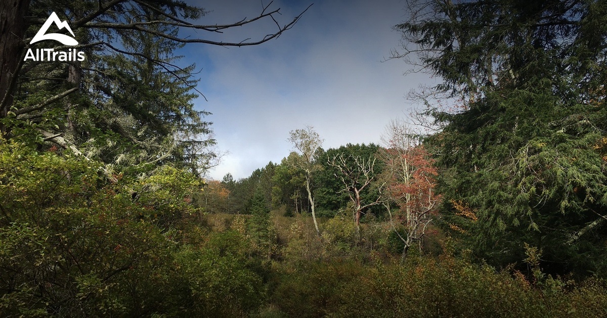 Hunter road trail | List | AllTrails