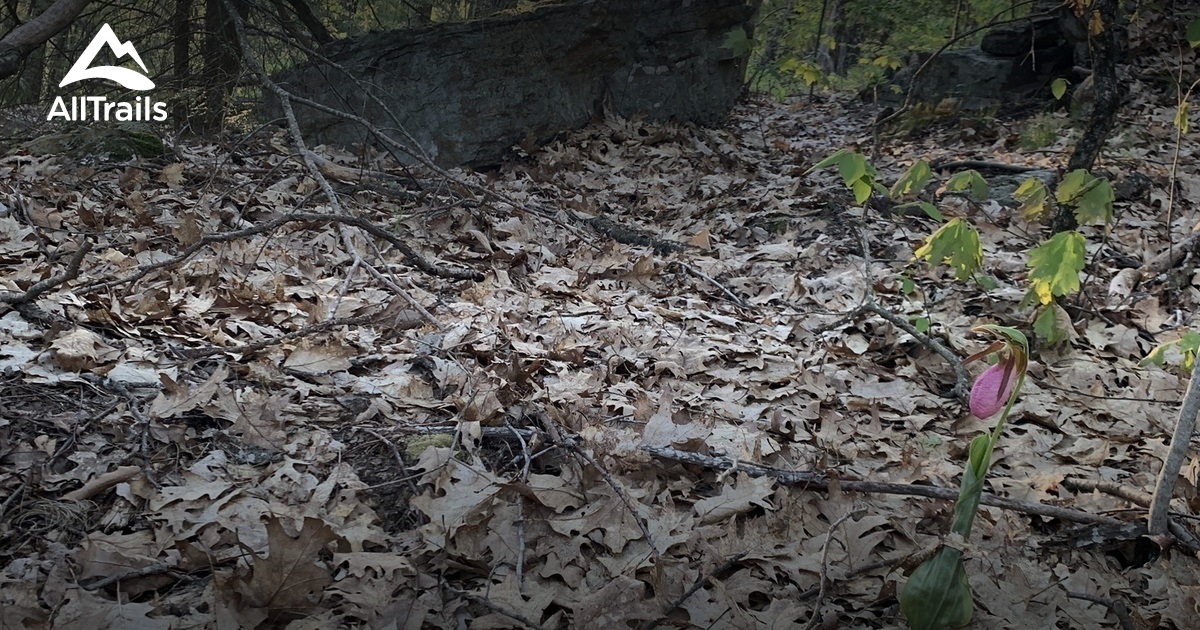 Efficient Elevation | List | AllTrails