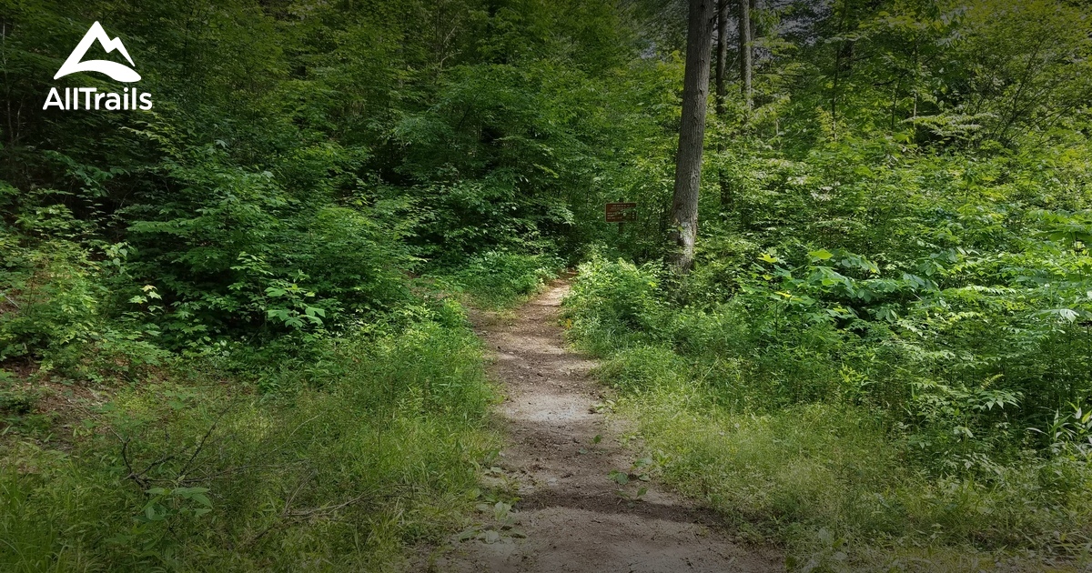 Cherokee National Forest area | List | AllTrails