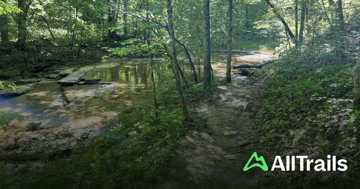 Boyce Hikes | List | AllTrails