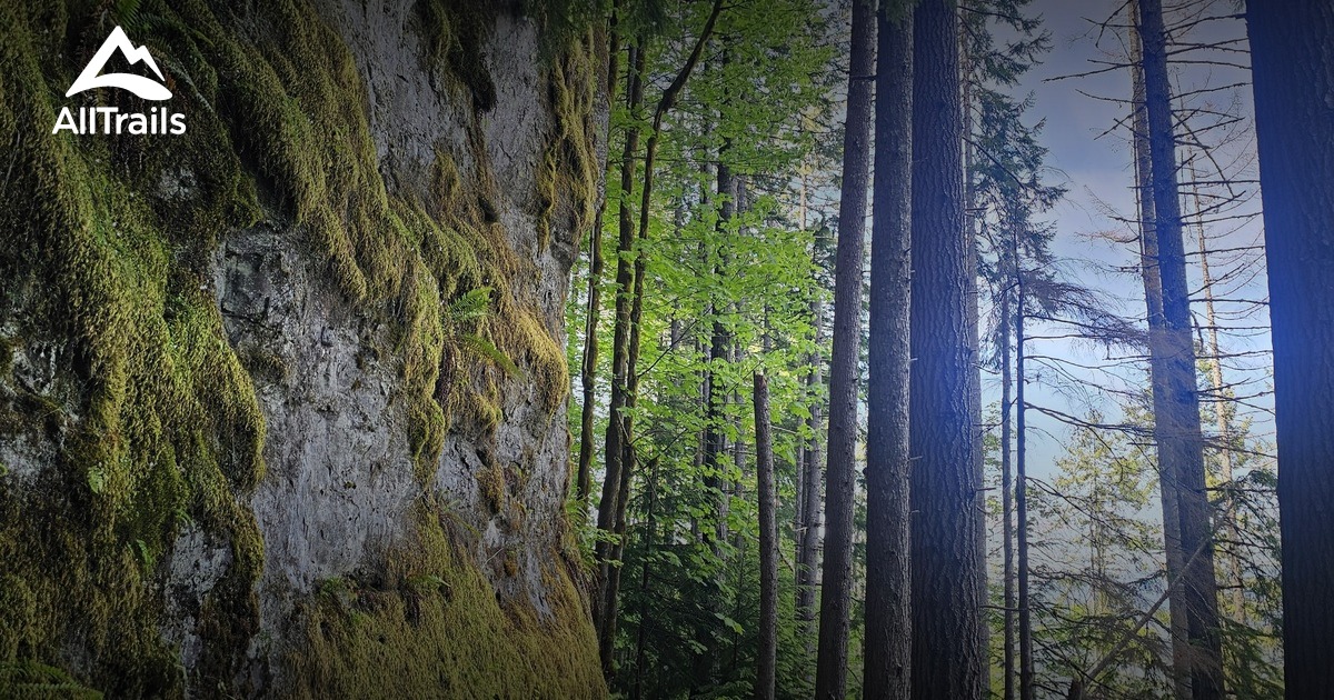 adventure badges | List | AllTrails