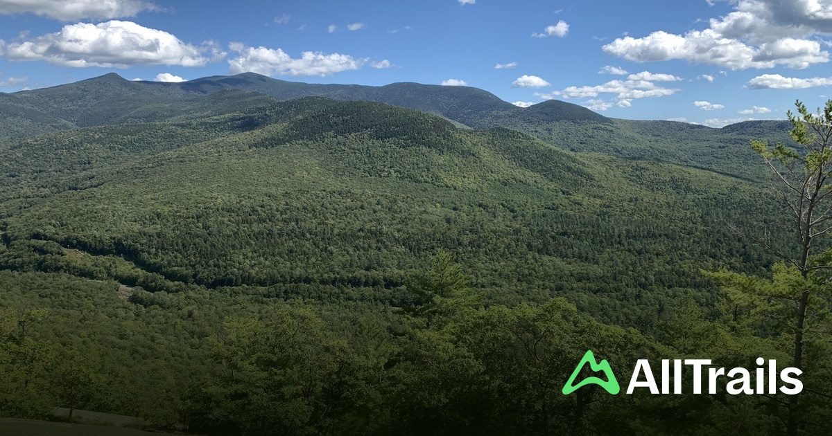 White Mountains Fall Foliage | List | AllTrails