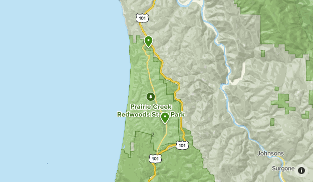 Redwoods Hikes to do | List | AllTrails