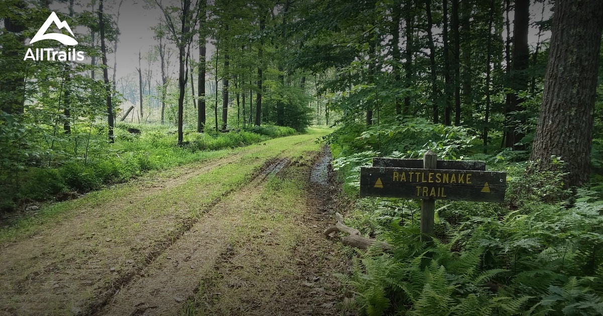 Simon B. Elliott State Park | List | AllTrails