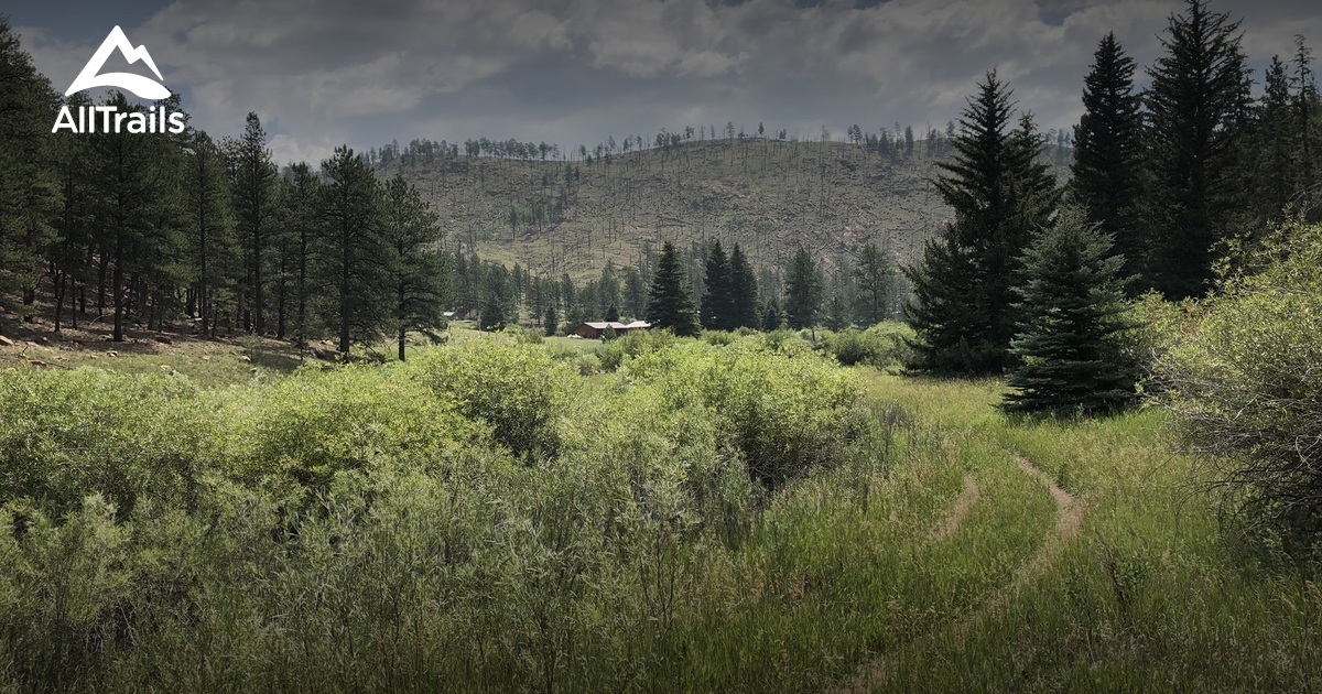 Eleven Mile Campsite Trails | List | AllTrails