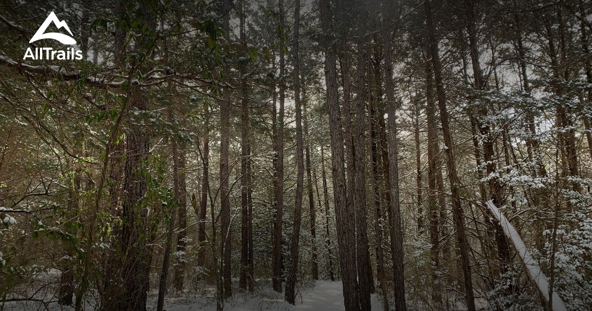 rolla | List | AllTrails