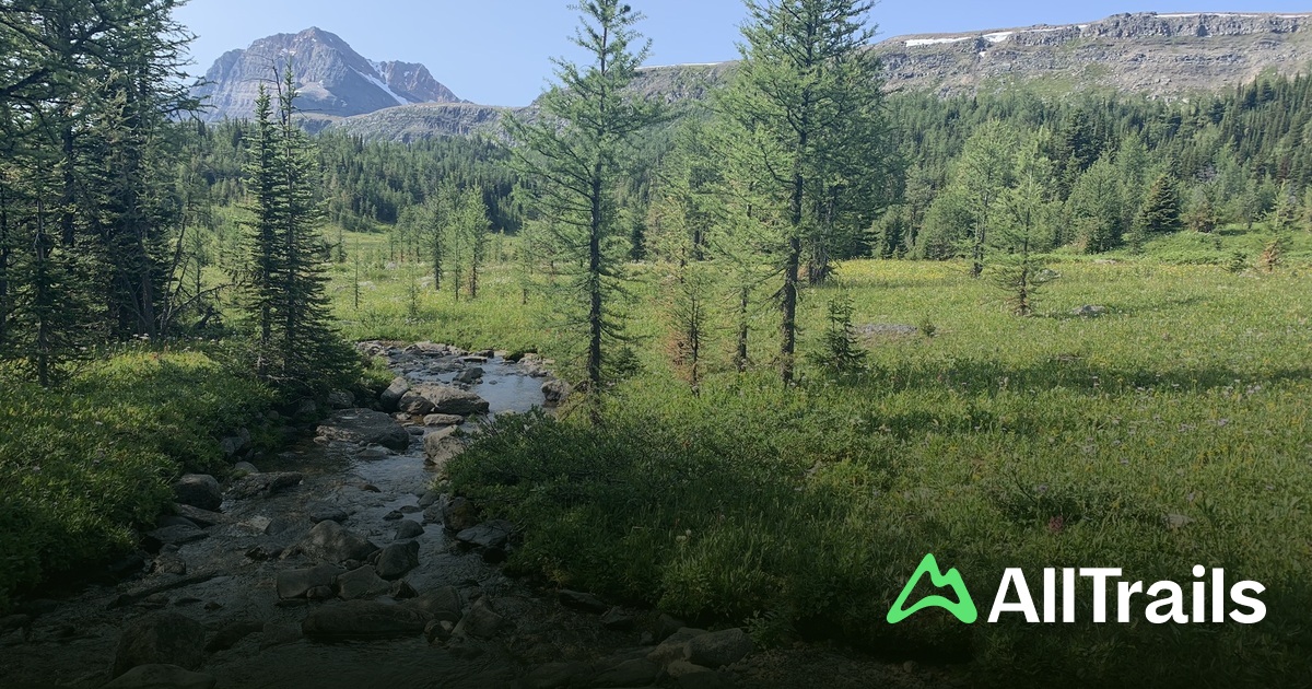 Best fall foliage trails Banff/Canmore | List | AllTrails