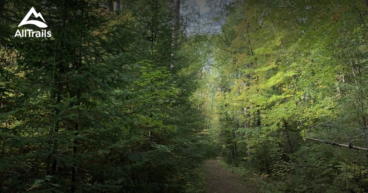 Vermilion State Forest | List | AllTrails