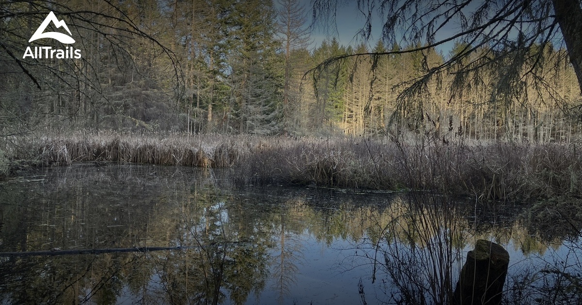 Steilacoom | List | AllTrails