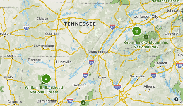 Thomas Dambo adventures | List | AllTrails