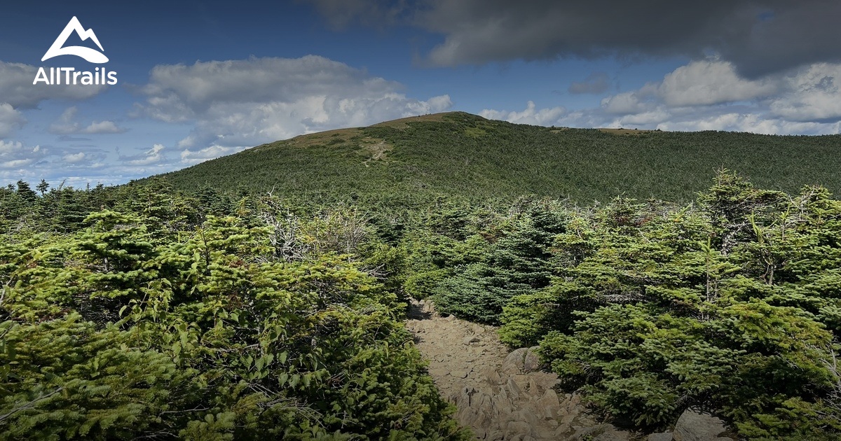 Mt. Moosilauke trails | List | AllTrails