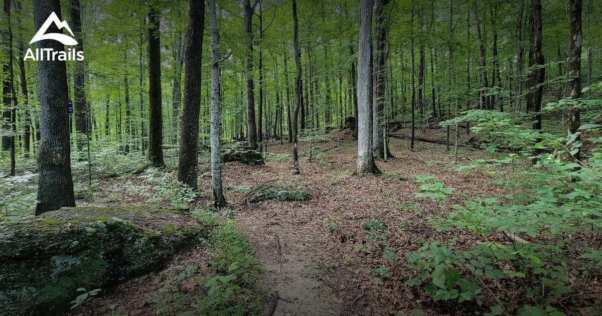 Mammoth Cave Camping Trip | List | AllTrails