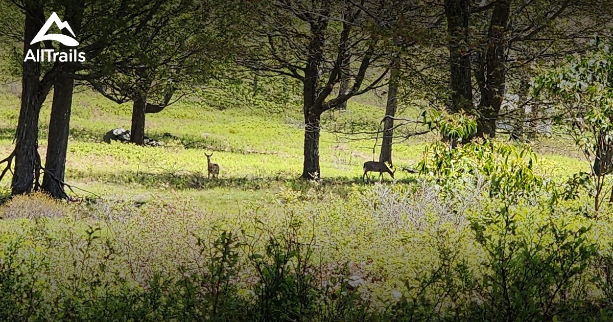 elk possible | List | AllTrails