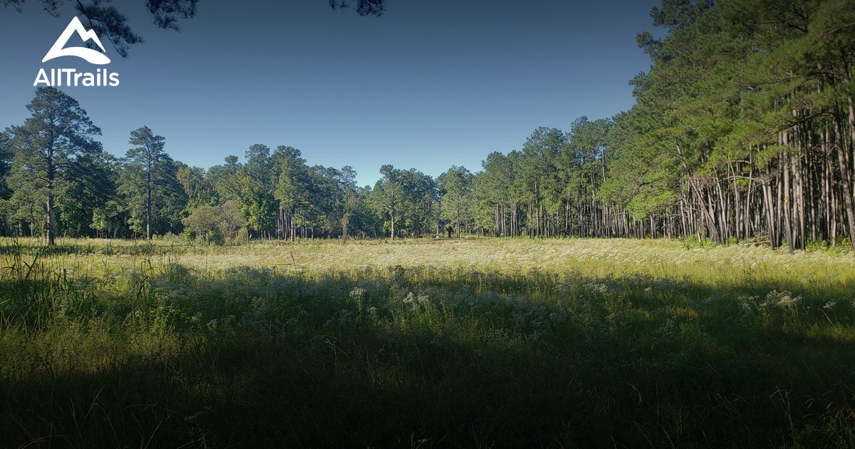 MTS - 40 Hike Challenge | List | AllTrails