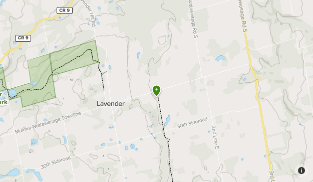 Bruce trail Blue mountain section | List | AllTrails