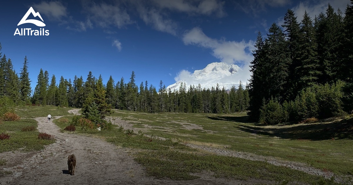 Open Mt. Hood Trails | List | AllTrails