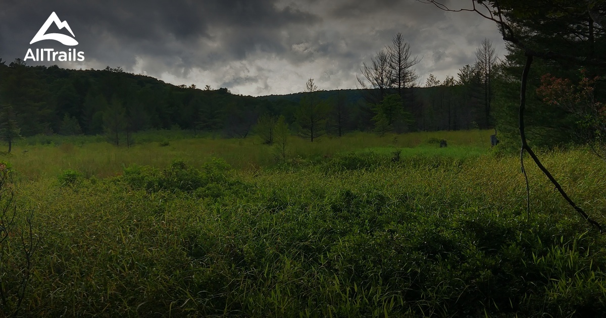 PA- Sproul State Park | List | AllTrails
