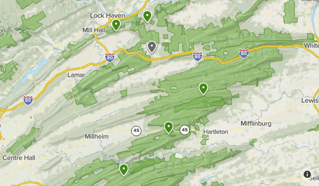 PA- Bald Eagle Forest | List | AllTrails