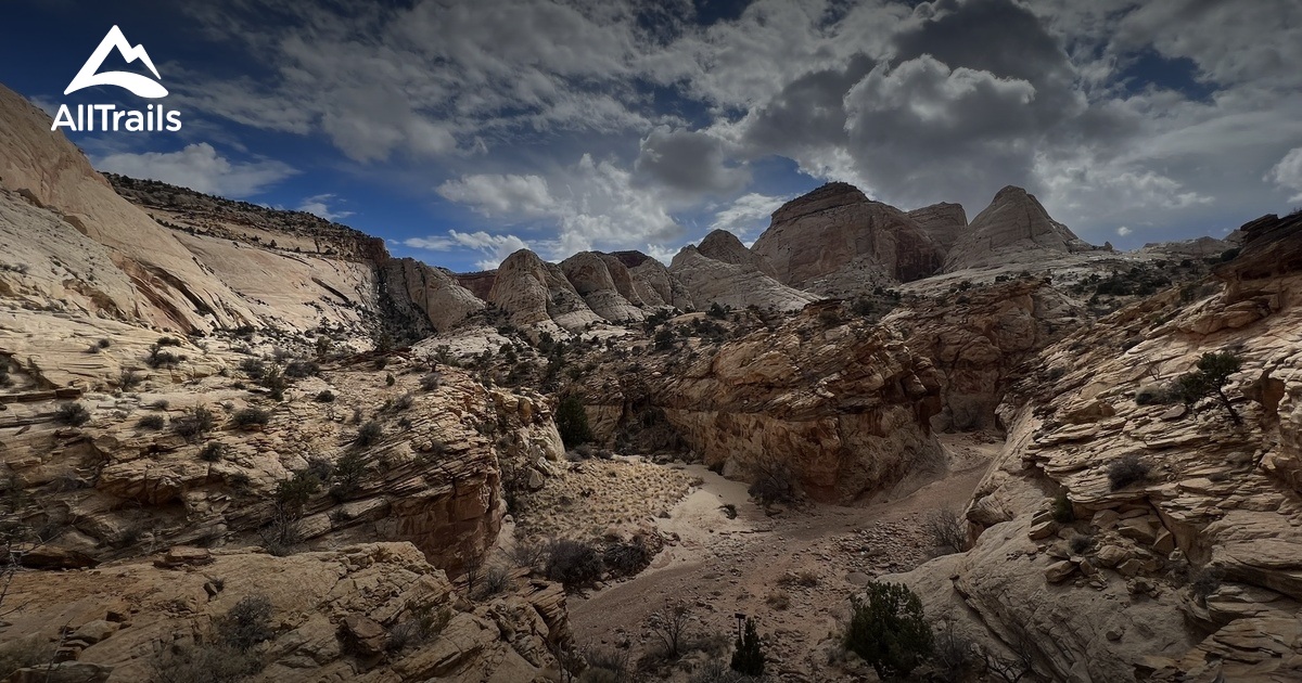 UEA | List | AllTrails