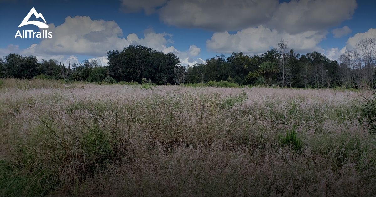 Florida State Park Trails | List | AllTrails