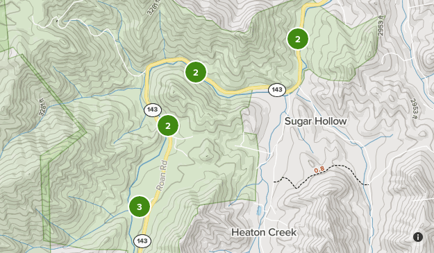 Roan Mt State Park | List | AllTrails