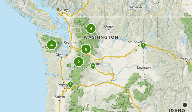 Seattle fall colors | List | AllTrails