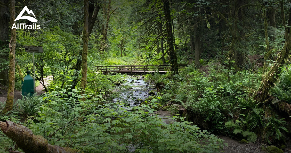 Bellingham options | List | AllTrails