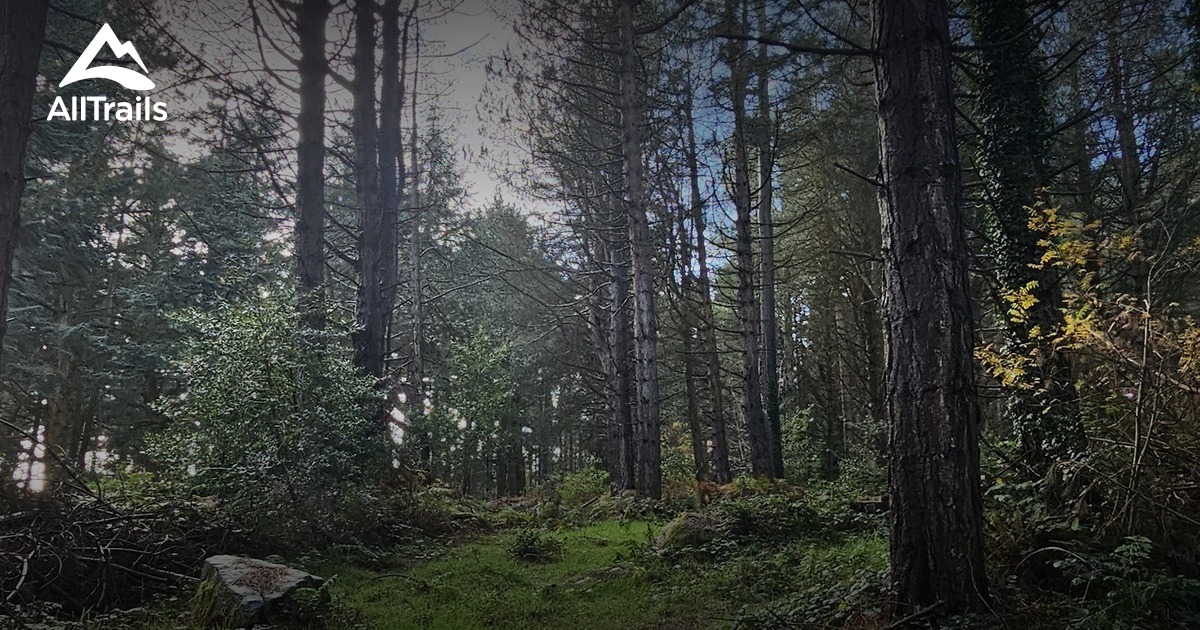 BRAY | List | AllTrails