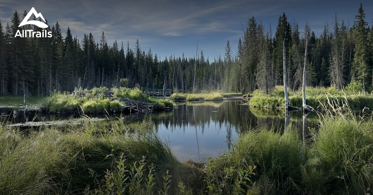 Hikes around Edson | List | AllTrails