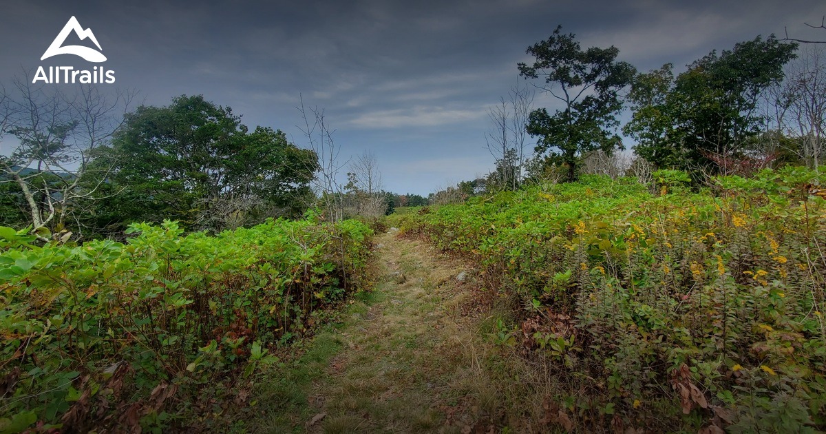 The Priest / Crabtree Falls | List | AllTrails