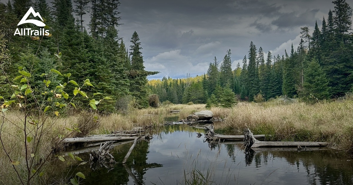 Tall Pine Hiking Cabin Ideas | List | AllTrails