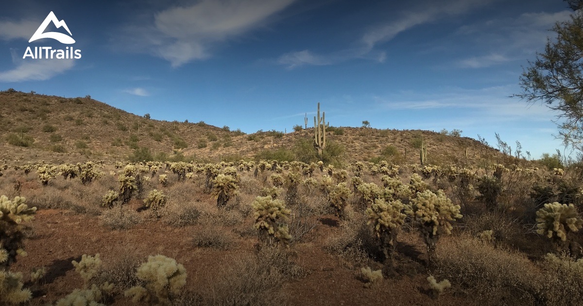 Phoenix Summit | List | AllTrails
