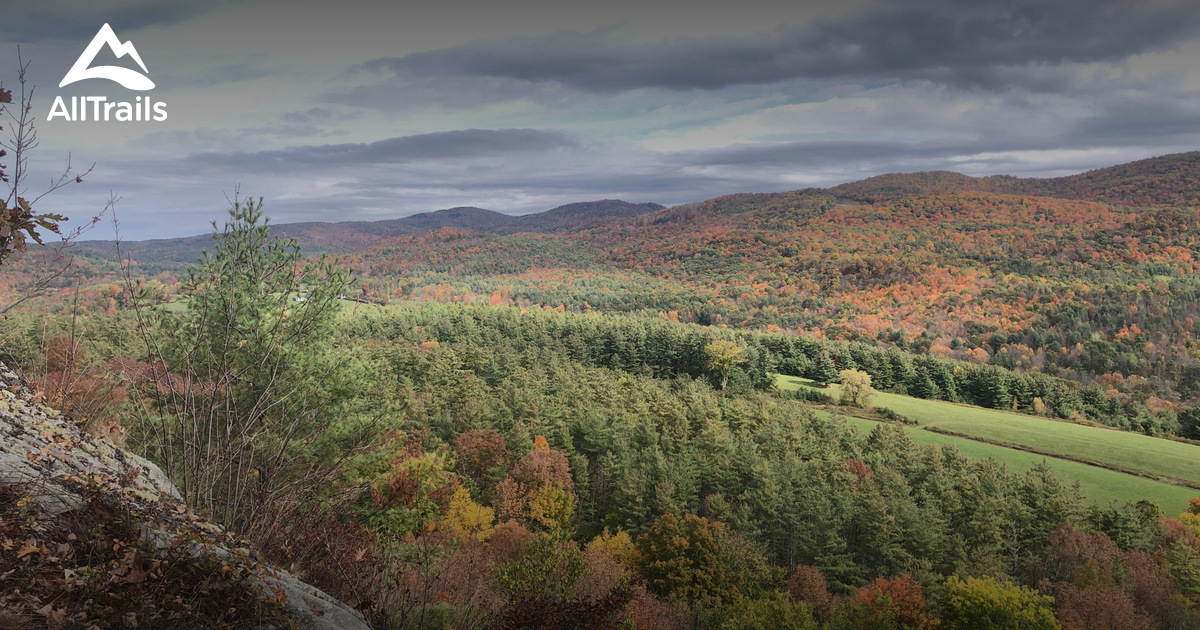 Lake Hortonia 2020 | List | AllTrails