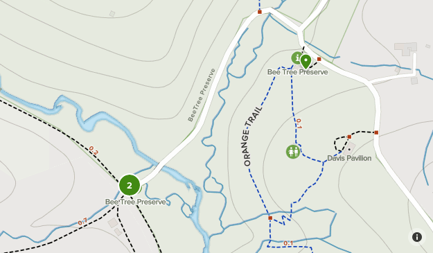 Bee Tree | List | AllTrails