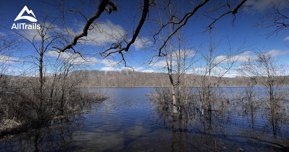 Bruin Lake Camping Trails | List | AllTrails