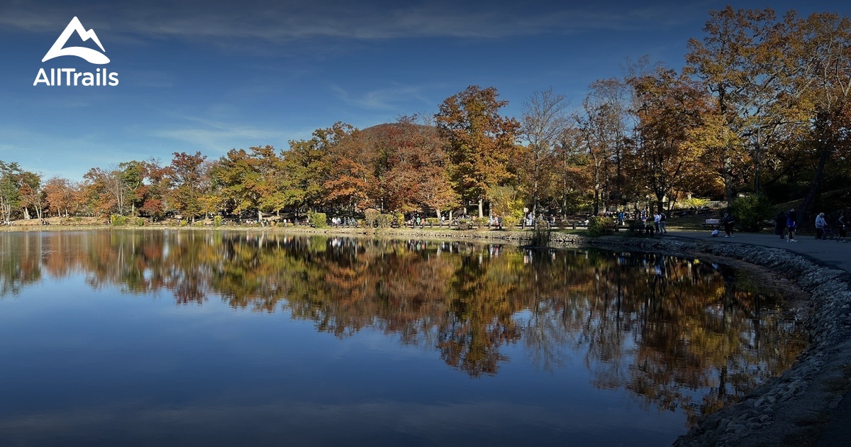 Classic Easy Close Trails | List | AllTrails